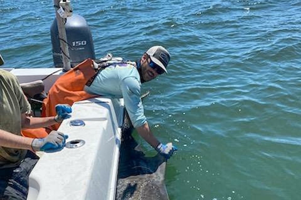FSU Coastal and Marine Laboratory