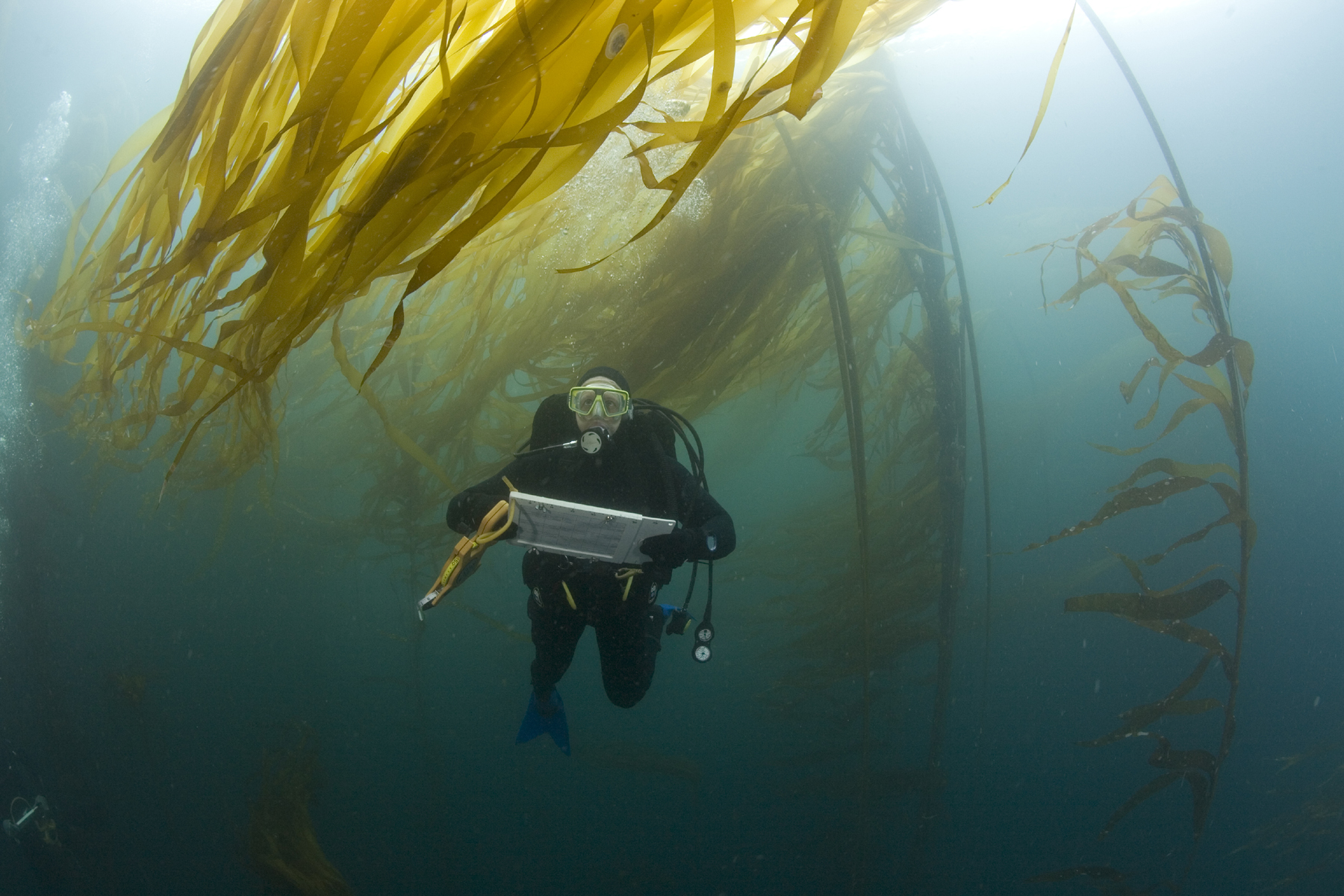 FSU Coastal and Marine Laboratory
