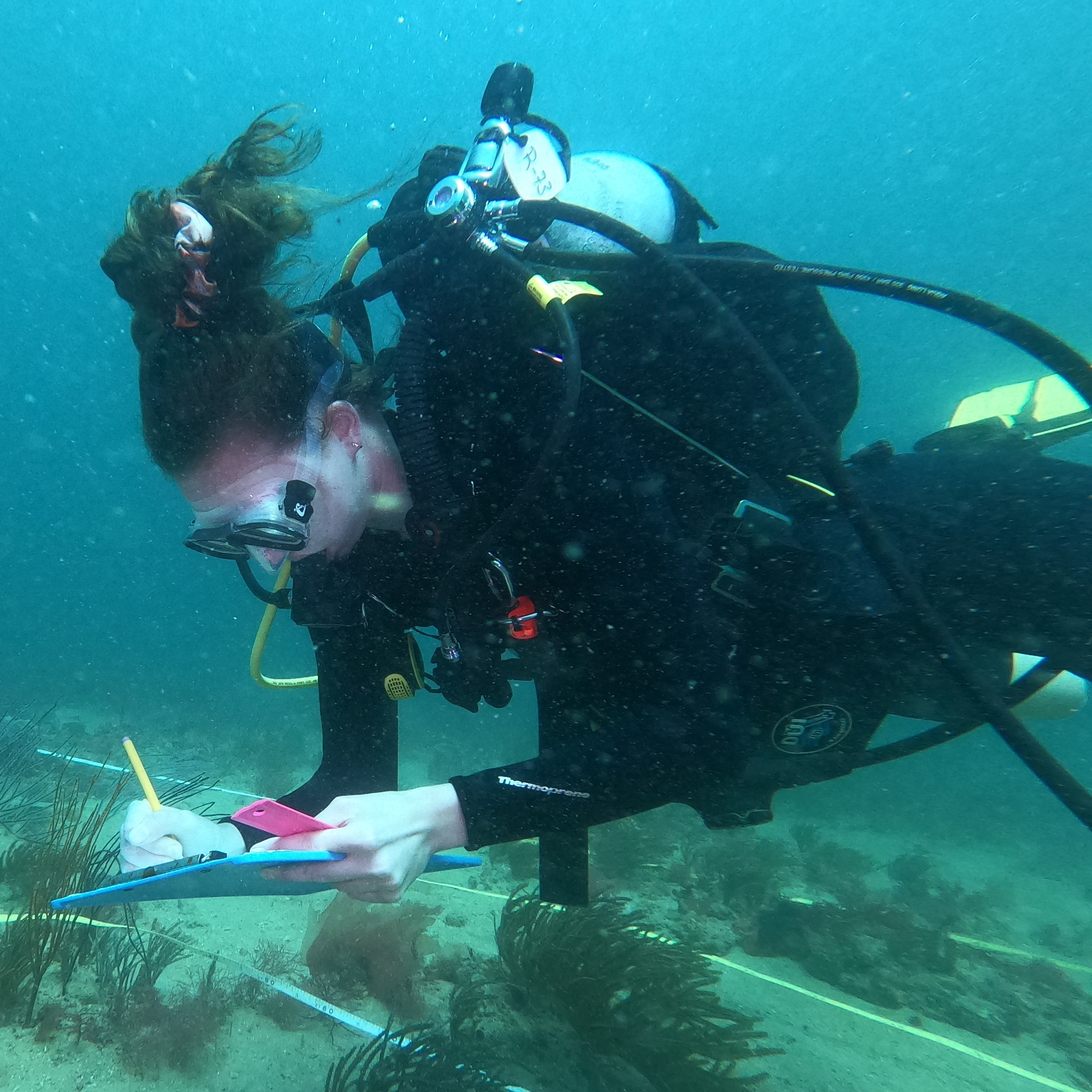 FSU Coastal and Marine Laboratory