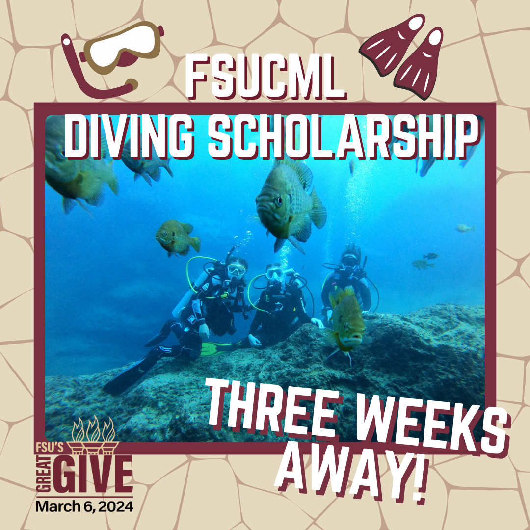 FSU Coastal and Marine Laboratory